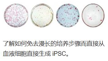 MeltonVEC™-iPSC Reprogramming Kit (iPSC重编辑试剂盒）