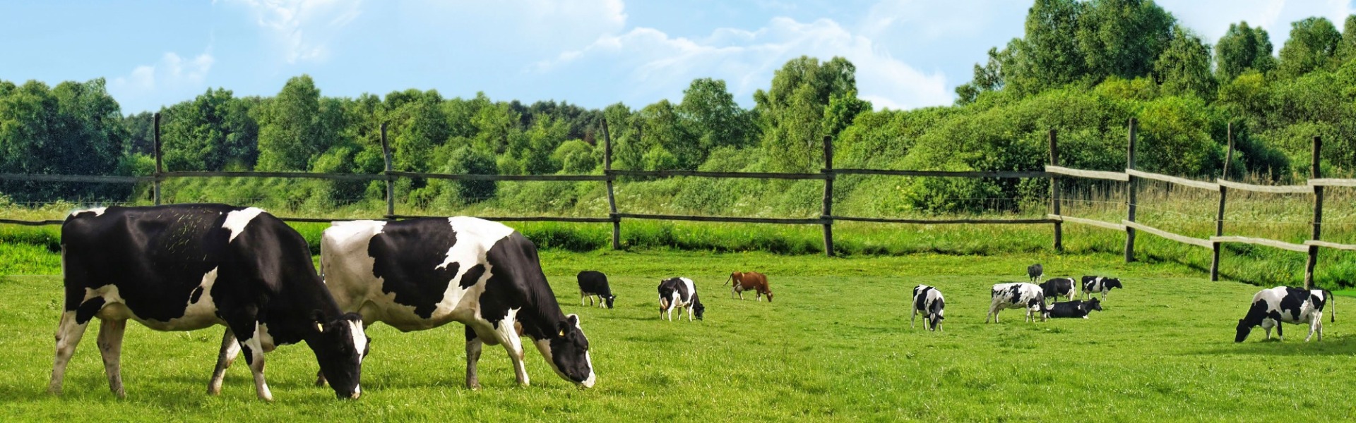 MUWANG Animal husbandry auxiliary products and equipment