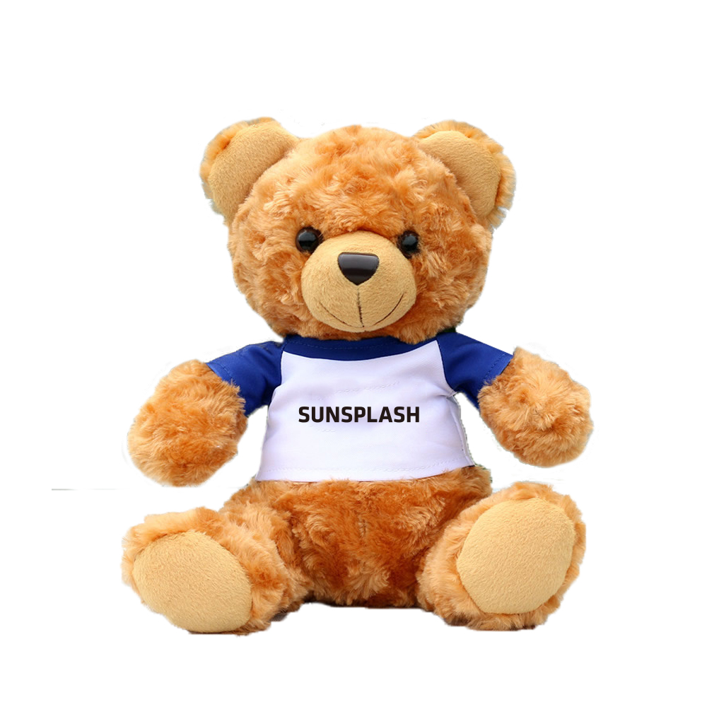 Plush Teddy Bear w/Choice of T-Shirt,Games & Toys & Stress Relievers