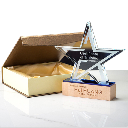 Custom Engraved Star Awards,Travel