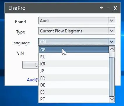 (30 Days) VAG Car ElsaPro Online Access via Web - No Need ODIS Software ...