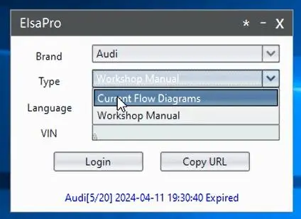 (30 Days) VAG Car ElsaPro Online Access via Web - No Need ODIS Software ...