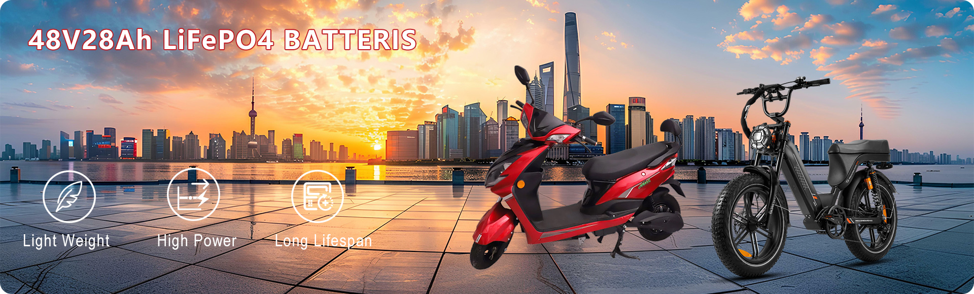 48V 28Ah Electric Bike Scooter LiFePO4 Lithium Ion Cell Battery
