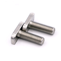 Stainless Steel T-Head Bolts