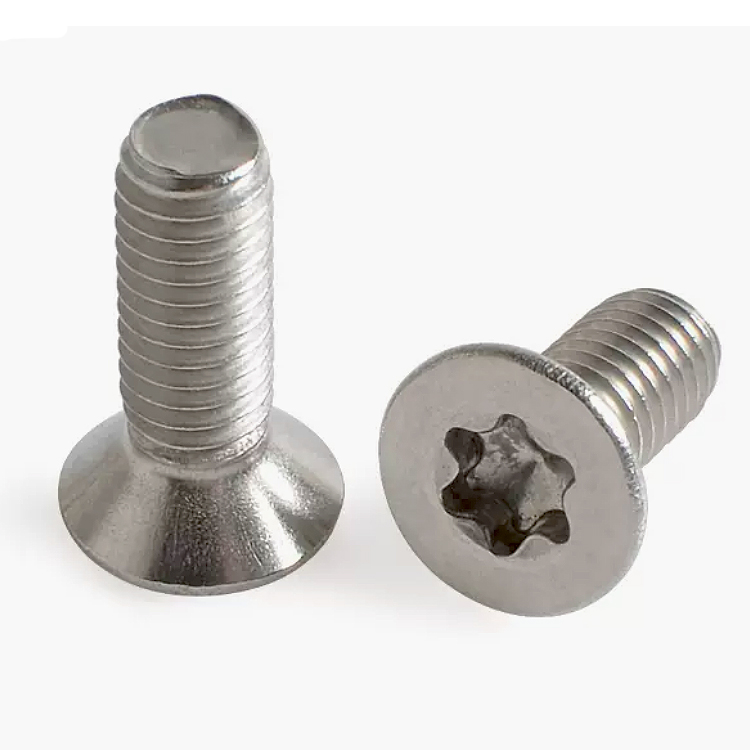Stainless Steel Torx Countersunk Head Screws