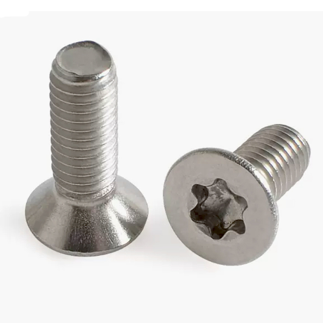 Stainless Steel Torx Countersunk Head Screws