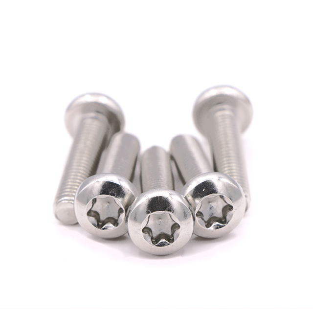 SS304 Stainless Steel Torx Pan Head Screws