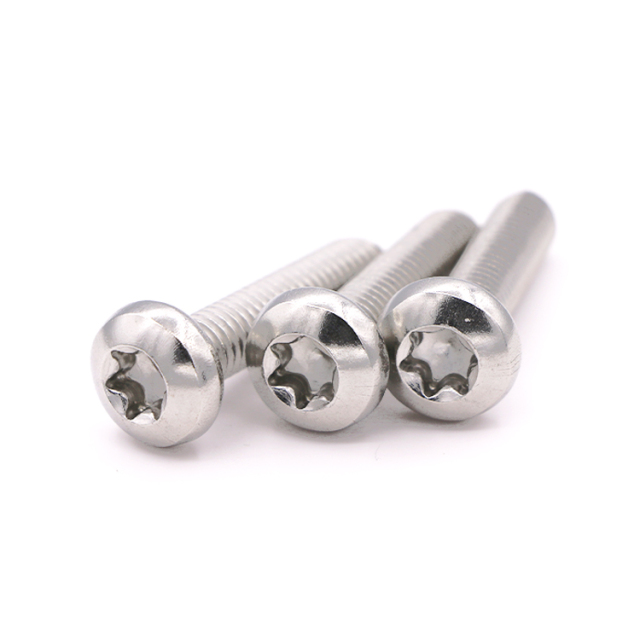 SS304 Stainless Steel Torx Pan Head Screws
