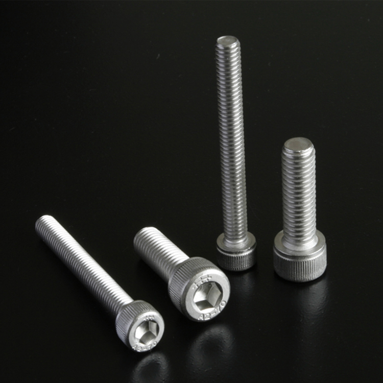 Stainless Steel Allen Head Screws