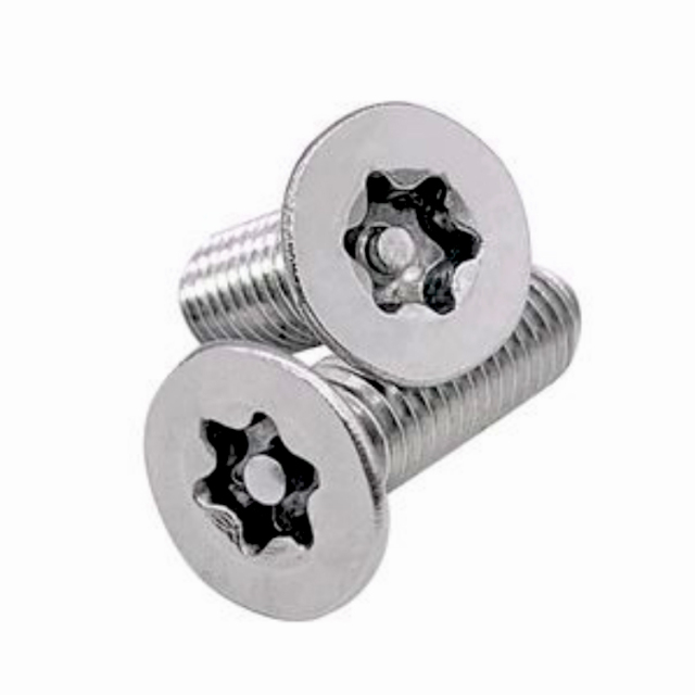 Customized Inch Stainless Steel Torx Countersunk Head Anti-theft Screws