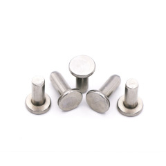 Stainless Steel Flat Thin Head Solid Rivets