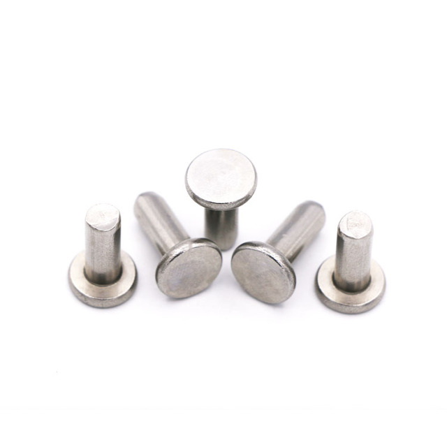 Stainless Steel Flat Thin Head Solid Rivets