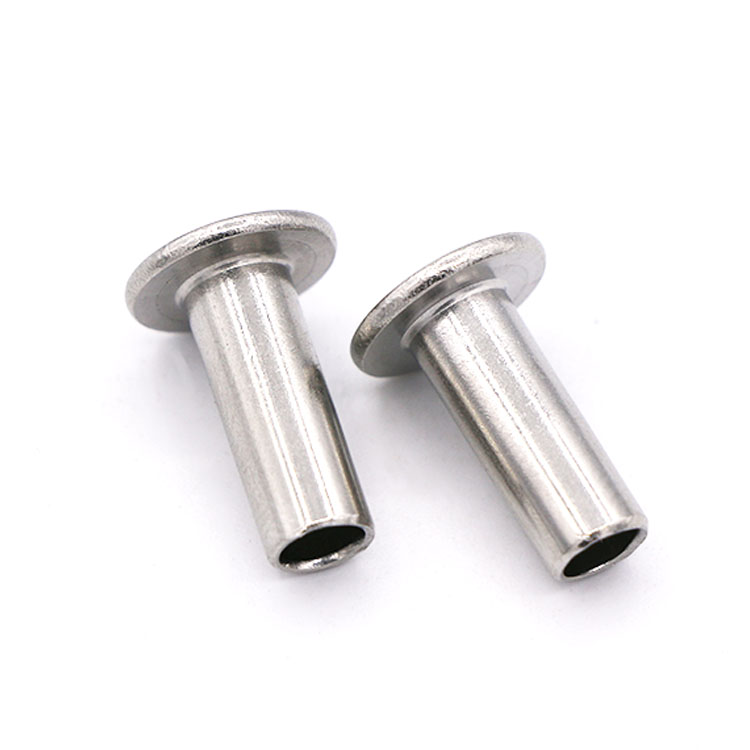 Stainless Steel Flat Thin Head Semi-tubular Rivets