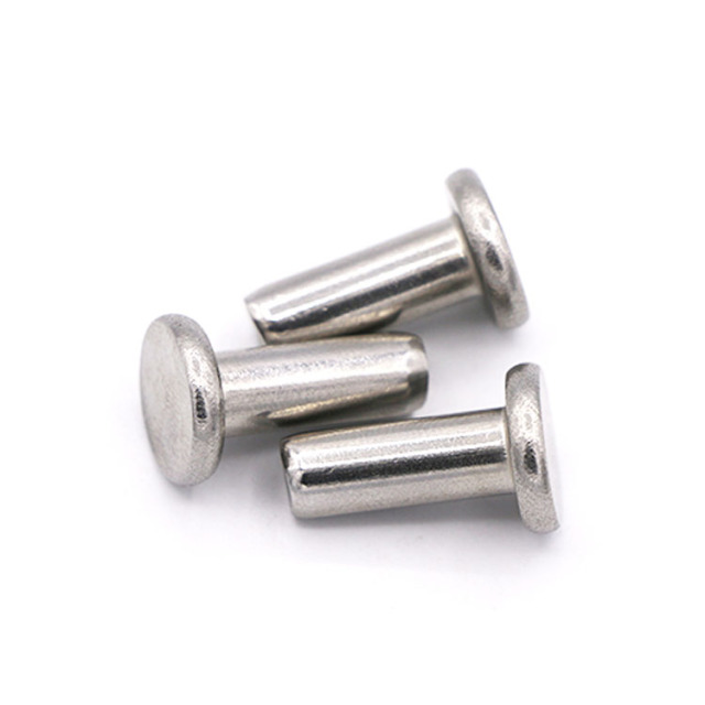 Stainless Steel Flat Thin Head Solid Rivets