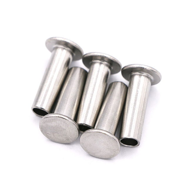 Stainless Steel Flat Thin Head Semi-tubular Rivets