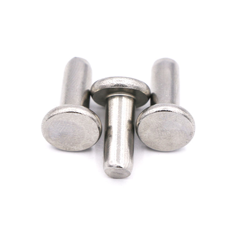 Stainless Steel Flat Head Solid Rivets