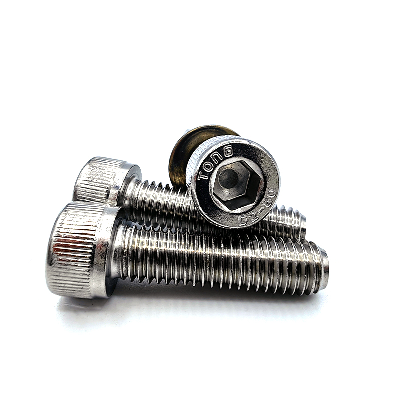 Stainless Steel D2-80 Allen Socket Cap Head Screws