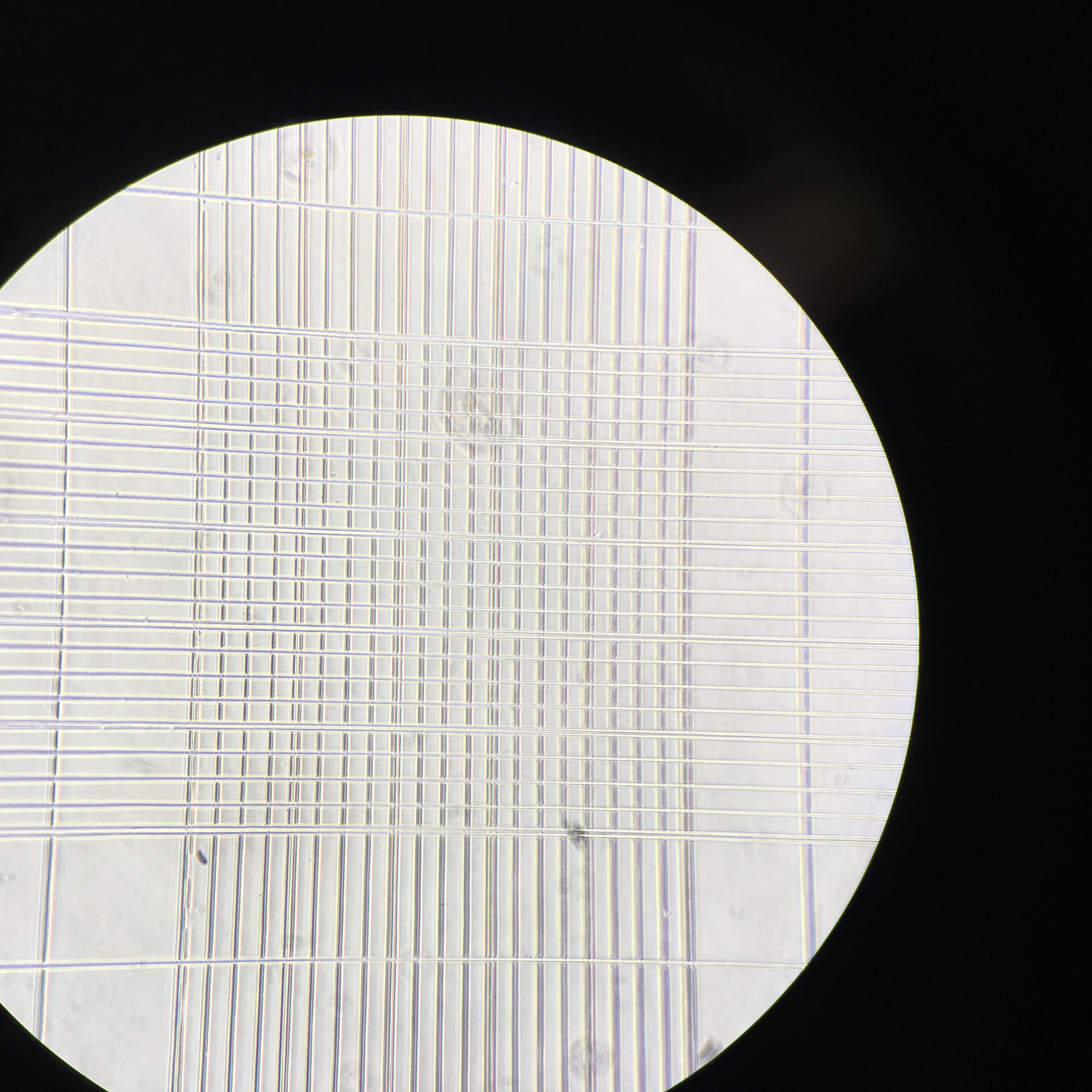 Hemocytometer Blood Counting Chamber with 100 Cover Slips Hemacytometer ...