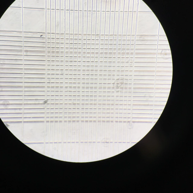 Hemocytometer Blood Counting Chamber with 100 Cover Slips Hemacytometer ...
