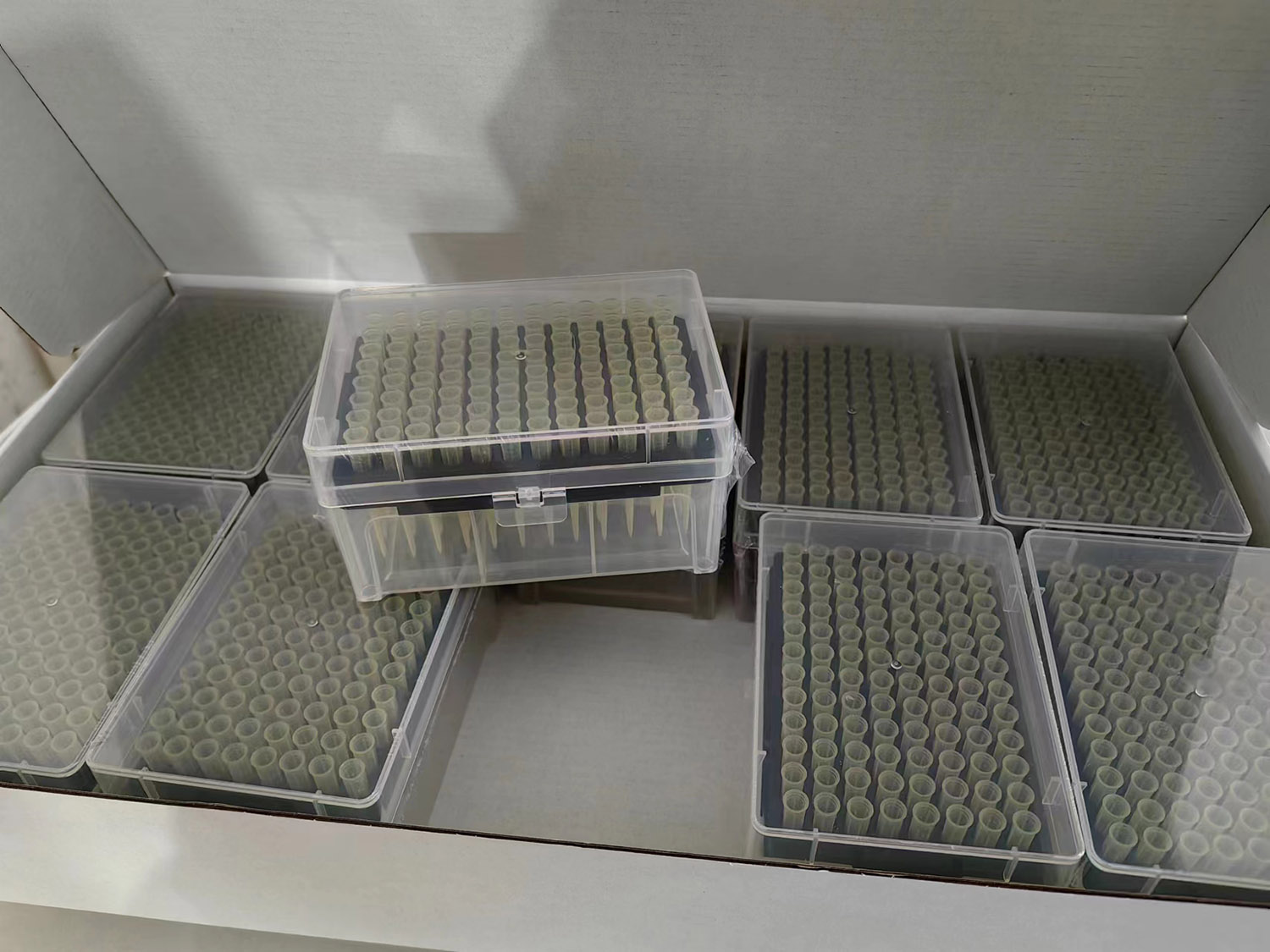 MUHWA 200 µL Filtering Pipette Tips, 200ul Universal Steriled Pipette ...