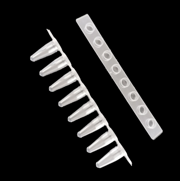 MUHWA 0.1ml PCR Tube 8 Strips PCR Tubes Transparent PCR Reaction Tube ...