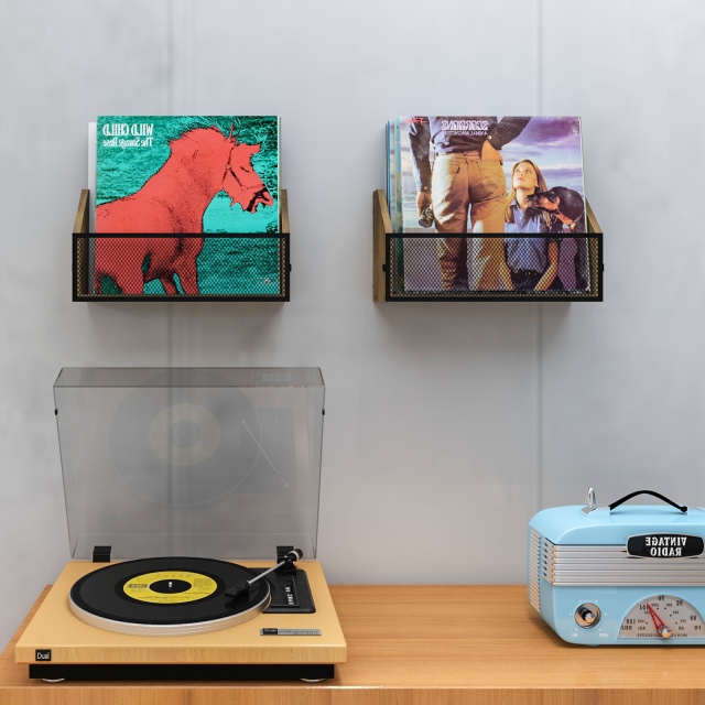 Wall Mounted or Countertop Record Storage Box