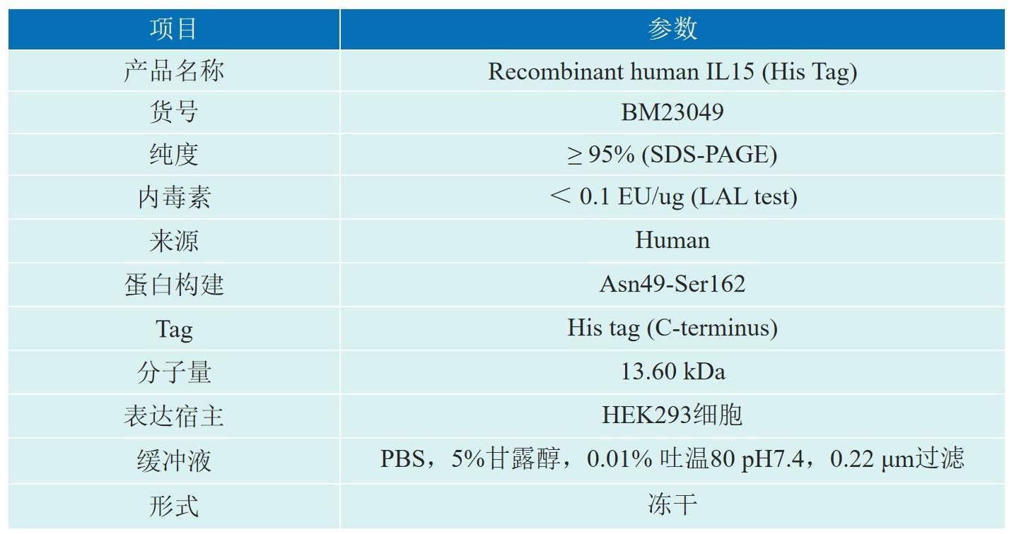 Recombinant human IL15 (His Tag)