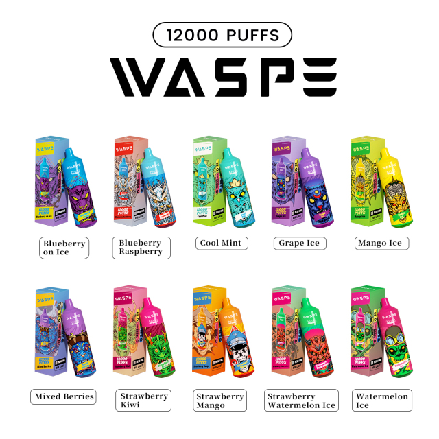 VASPE Brand 12000 puffs 0.8ohm Resistance Disposable Vape