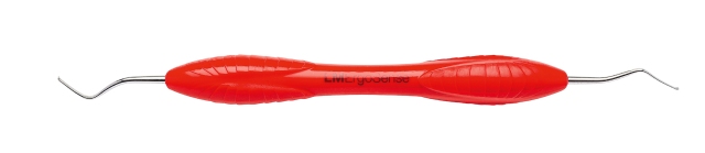 Hoe Scaler, posterior