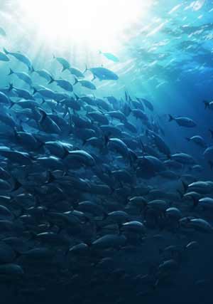 After 80's by Boyu Lighting - Leading Innovators in Bathroom Heat Light ...