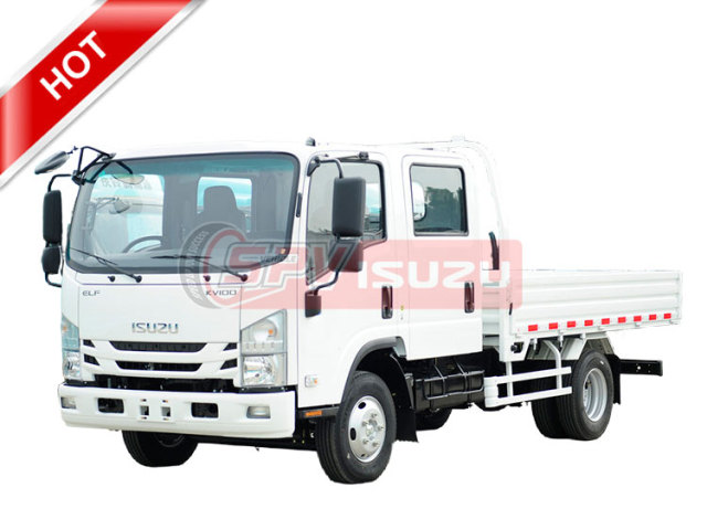 Double Cab Cargo Truck ISUZU