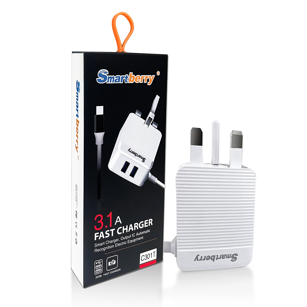 Smartberry smart charger C301