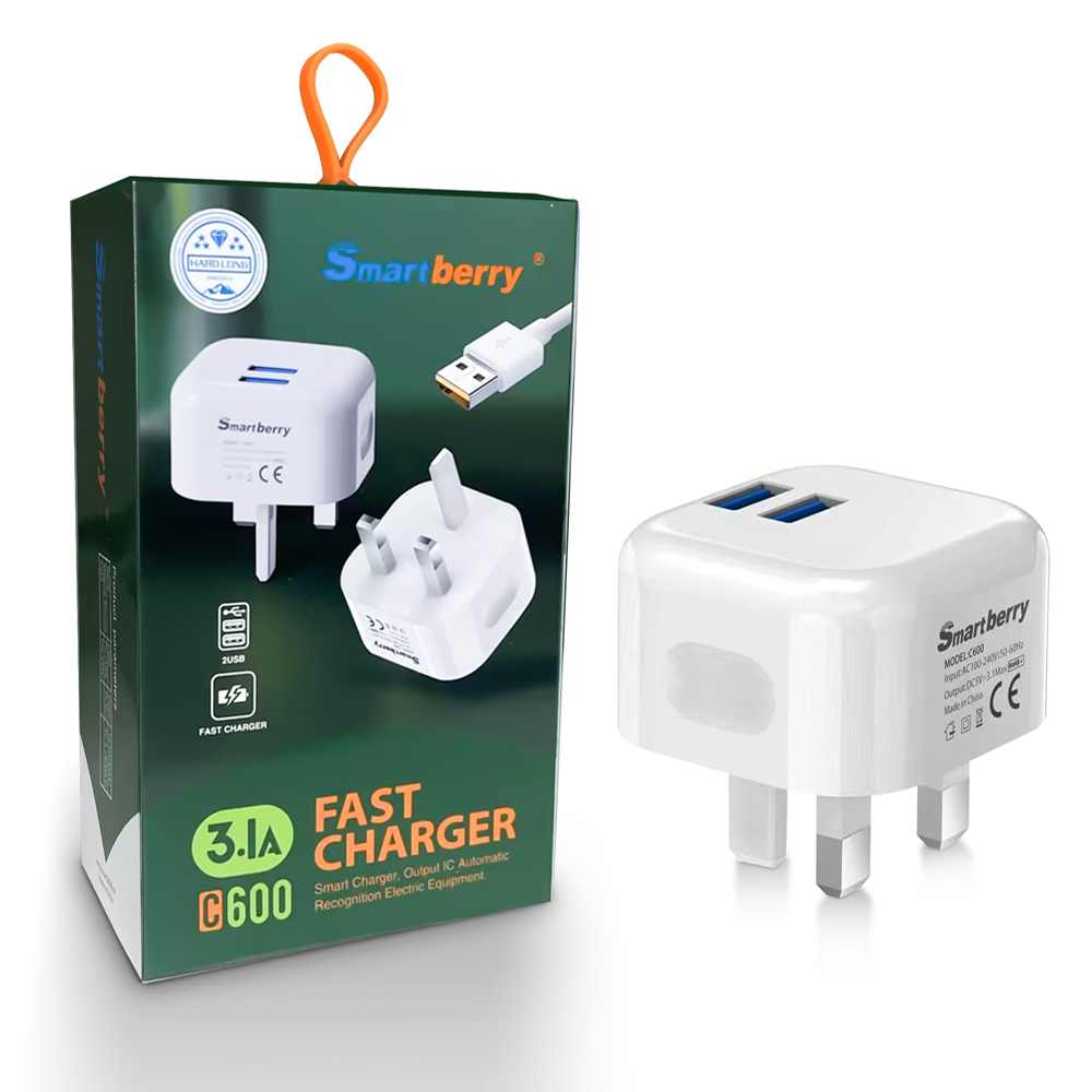 Smartberry 智能充电器C600