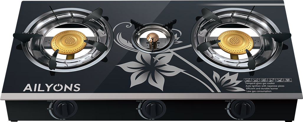 AILYONS GS014-6 Gas Stove Double Burner
