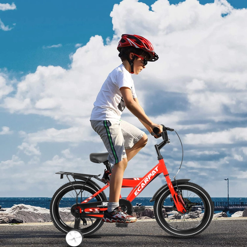 16-inch Kids Bike for Boys and Girls with Training Wheels,Fender and ...