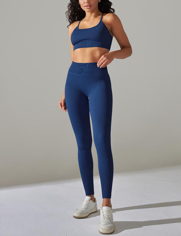 Navy Blue Seamless Yoga Bra and Pant Set