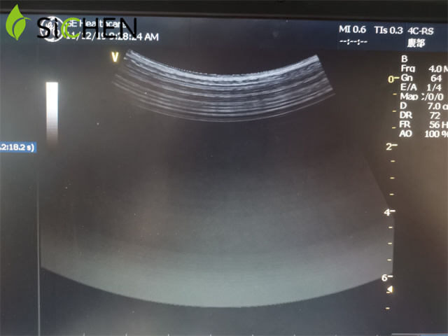 GE 4C-RS Curved Array Medical Instrument Ultrasound Transducer/Probe