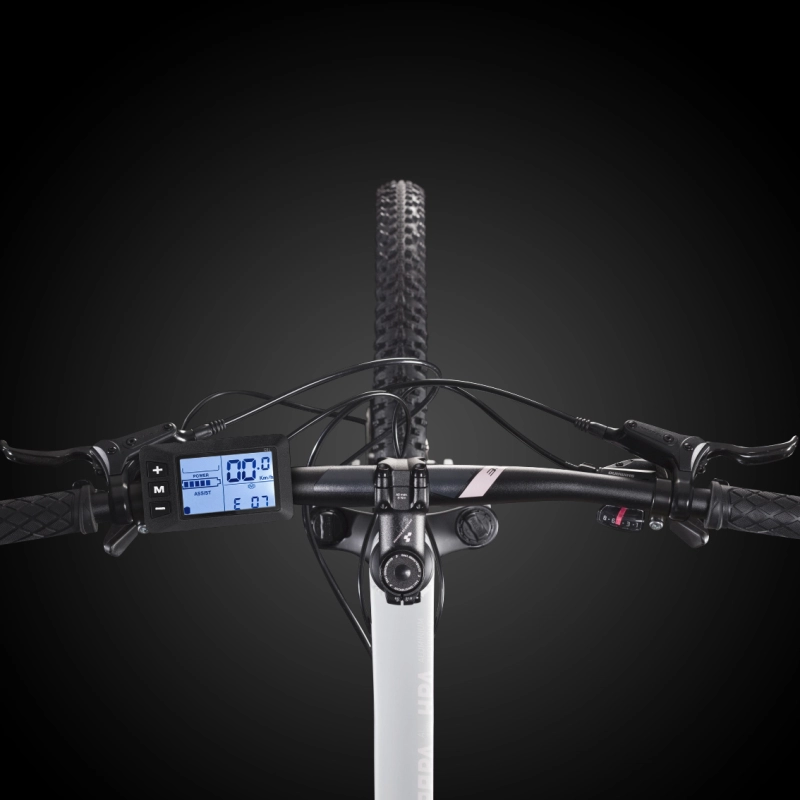 Kunray G51 Ebike Display 24-48V LCD Display for Electric Scooter ...