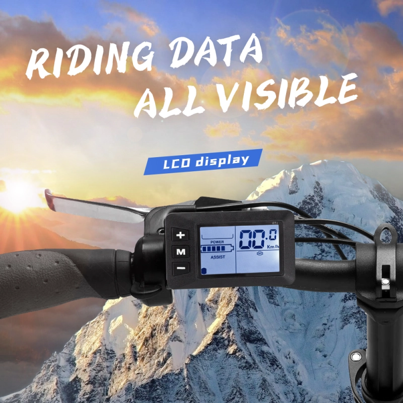 Kunray G51 Ebike Display 24-48V LCD Display for Electric Scooter ...