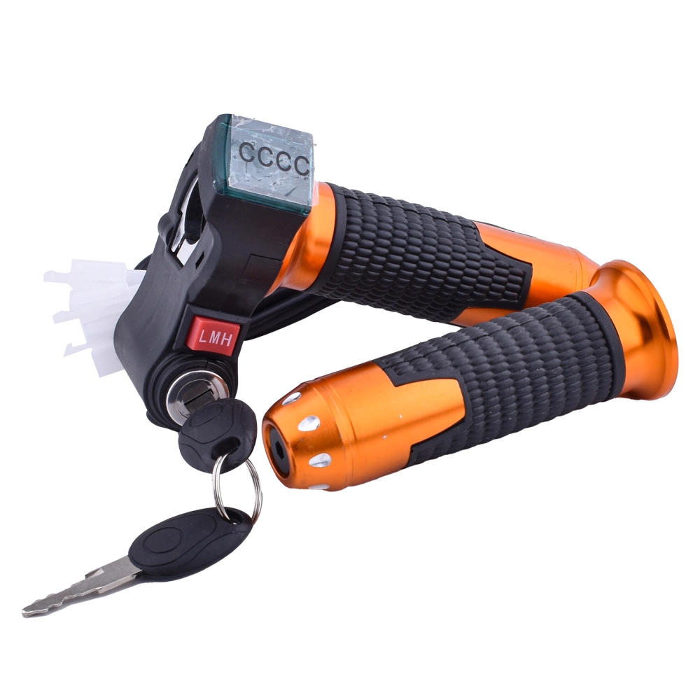 New 3-Speed E-Bike Throttle with LED Display - 12V-96V for Electric ...