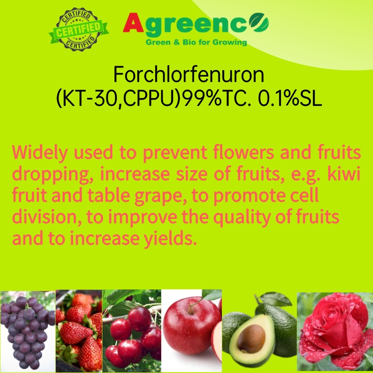 CPPU KT (Forchlorfenuron) cytokinin and cytokines for plant cells divisions for fruits and ...