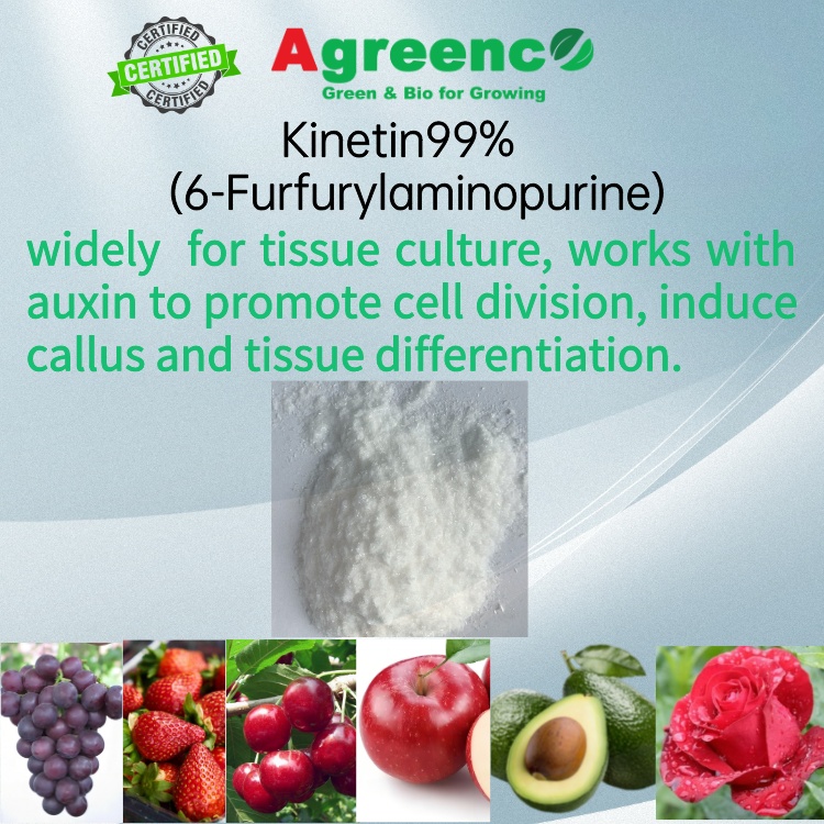 Kinetin99% Bio Cytokinin for plant growth