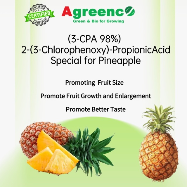 3-CPA 98%TC Plant growth regulator for Pineapple