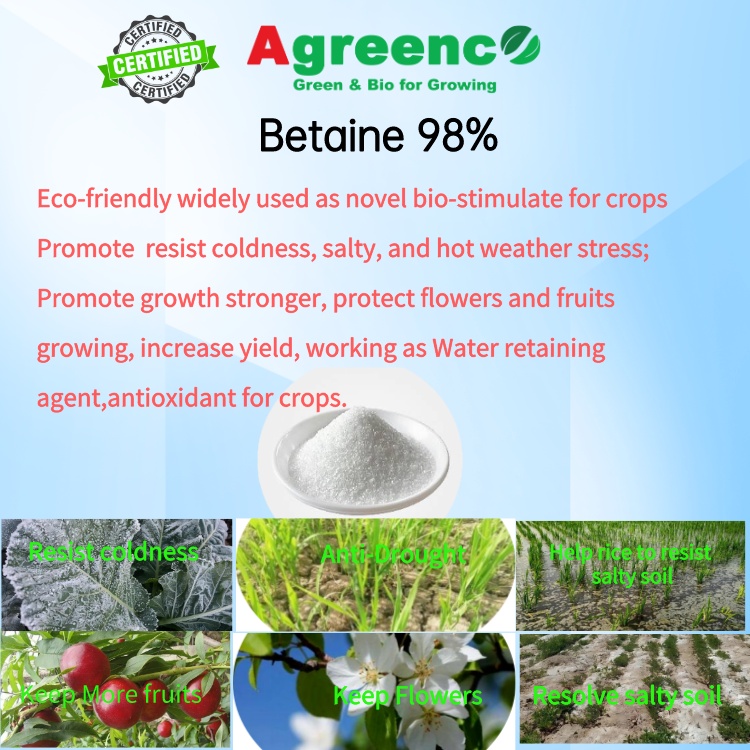 Betaine (Crop grade) Bio Stimulant for Crops Higher Yield and High Quality