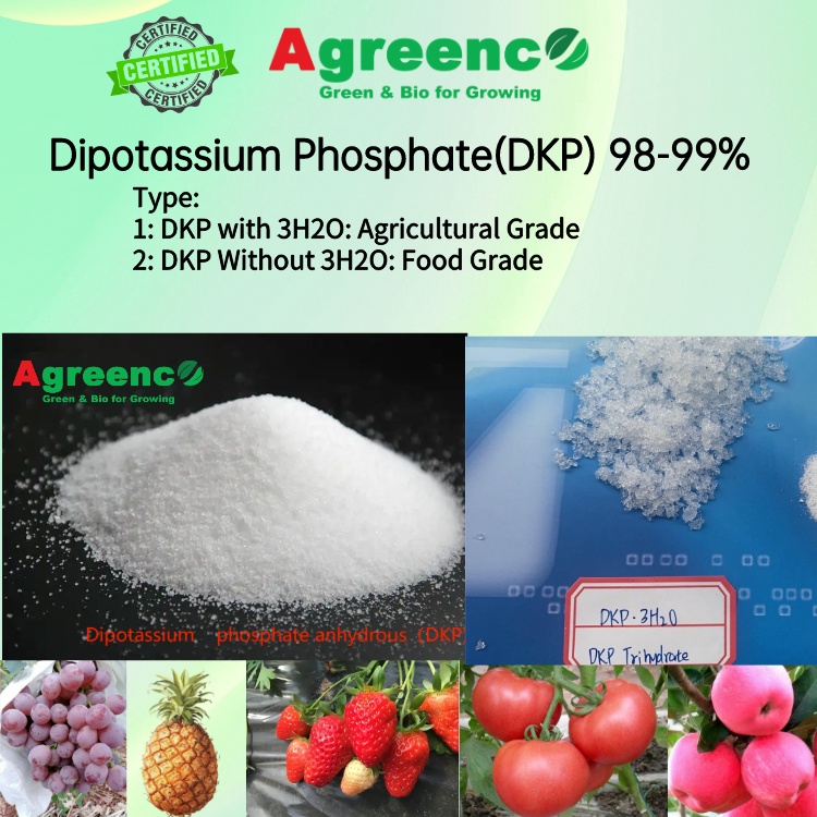 Dipotassium Phosphate(DKP) 98-99% fertilizer