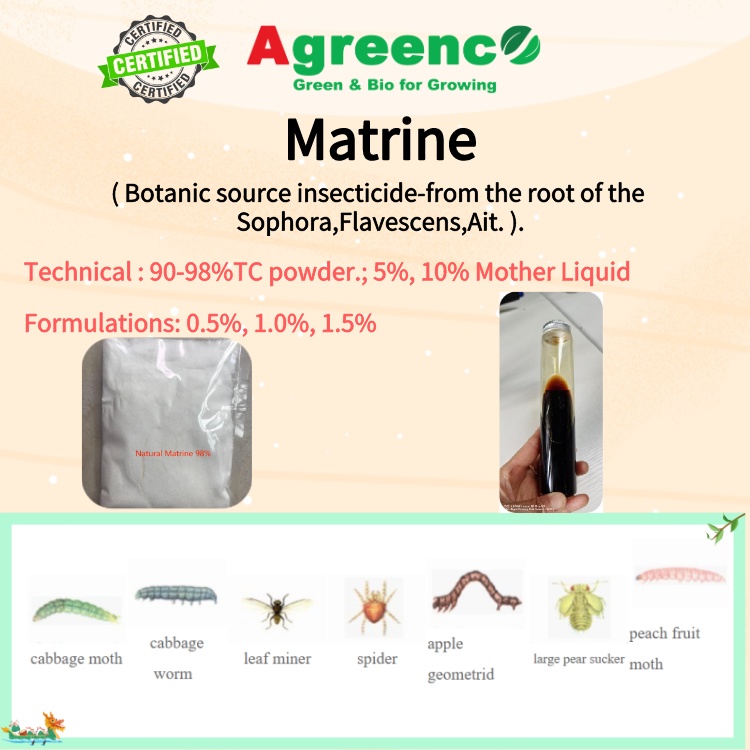 Matrine 98%-90%; 5%,10% mother liquid; 1.5%SL Bio Pesticides