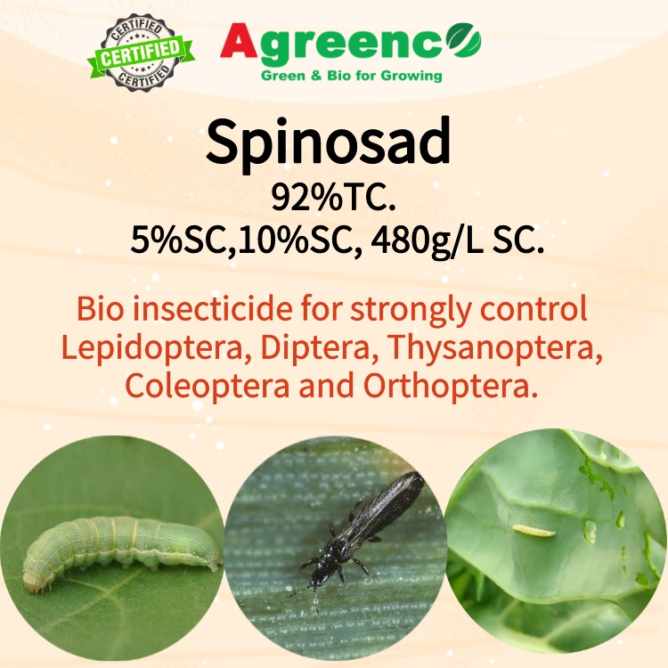 Spinosad 92% Bio Pesticide