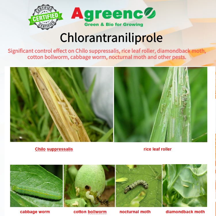 Chlorantraniliprole 95%TC Eco-Friendly High Efective Insecticides