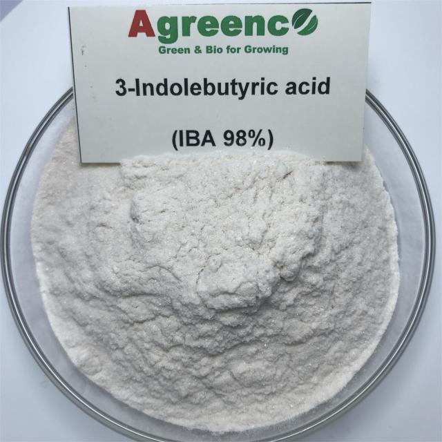 3-Indolebutyric acid (IBA 98%, IBA-K 98%) plant growth regulator