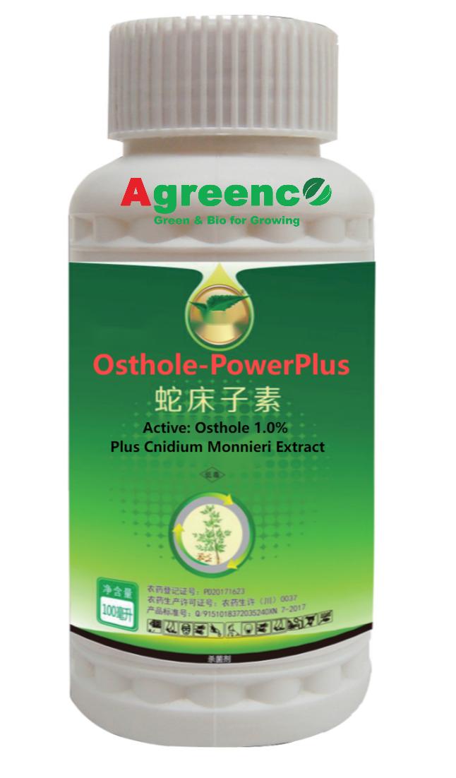 Osthole-PowerPlus (Osthole 1.0%)Bio Controlling Powdery mildew, Gray ...